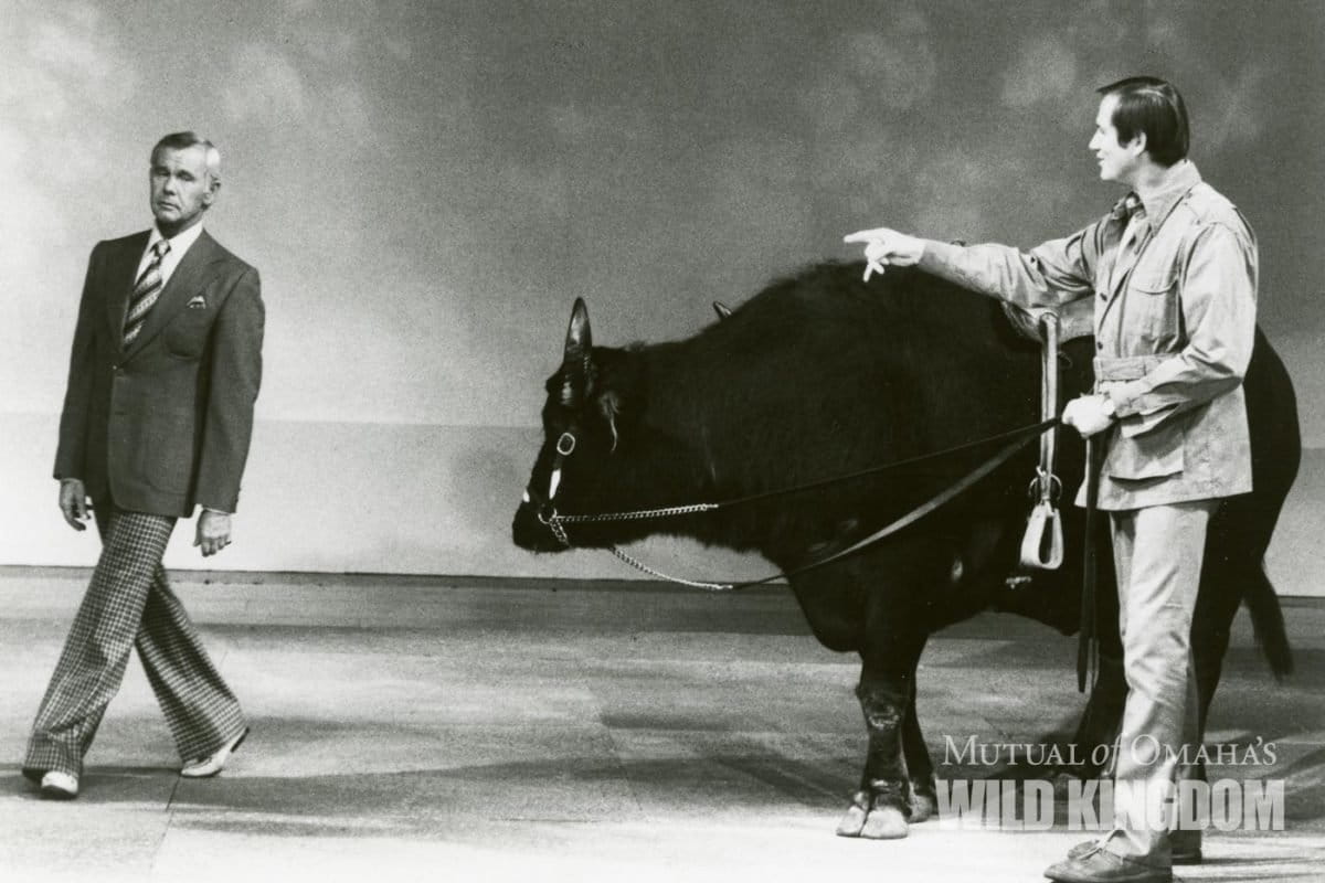 Wild Kingdom's Jim Fowler has died