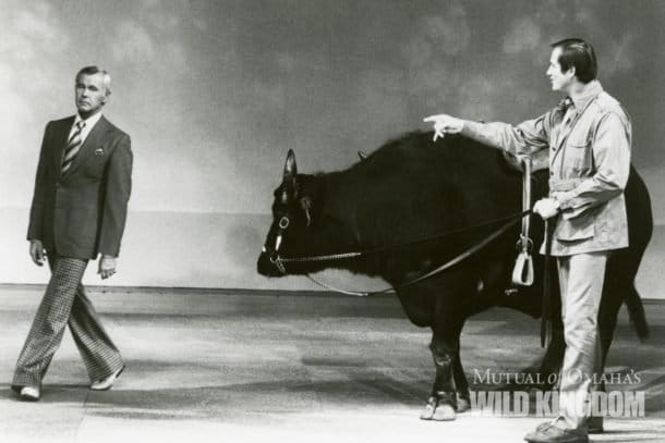 Wild Kingdom's Jim Fowler has died