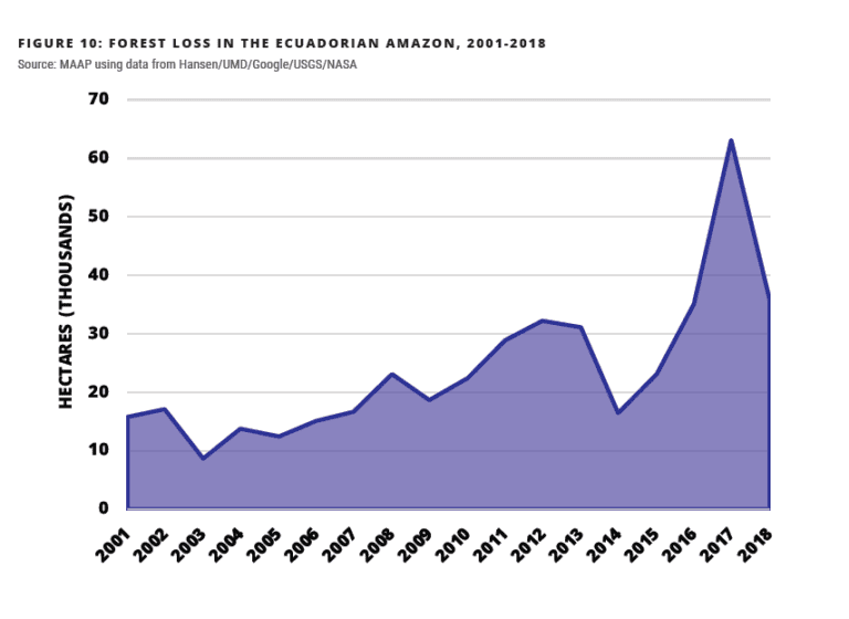 New report examines drivers of rising Amazon deforestation on country ...