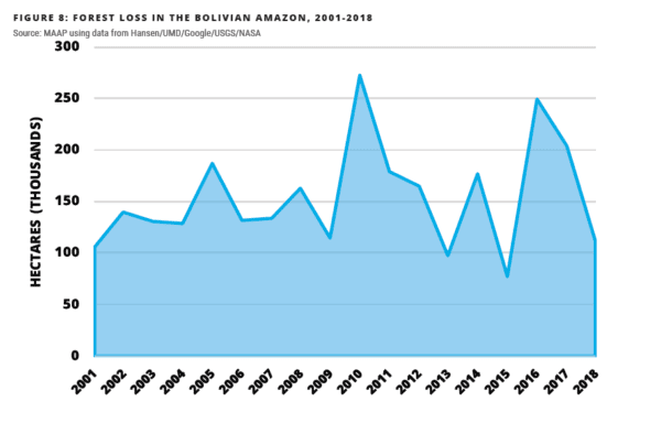 New report examines drivers of rising Amazon deforestation on country ...