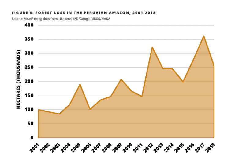 New report examines drivers of rising Amazon deforestation on country ...
