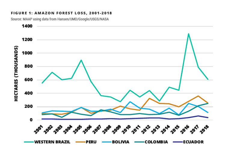 New report examines drivers of rising Amazon deforestation on country ...