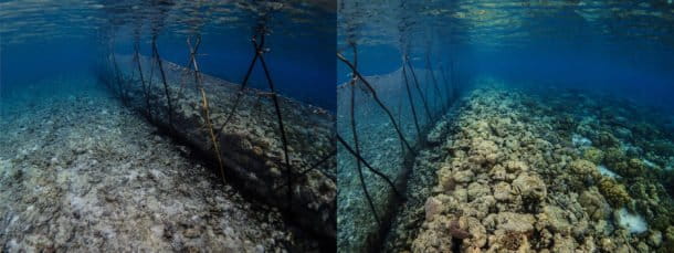 For artisanal fishers, fish fences are an easy, but problematic, option