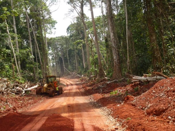 Logging road construction has surged in the Congo Basin since 2003