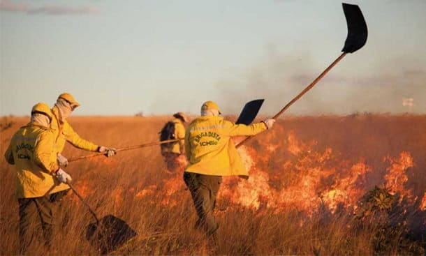 Brazil’s Roraima state at mercy of 2019 wildfires as federal funds dry up