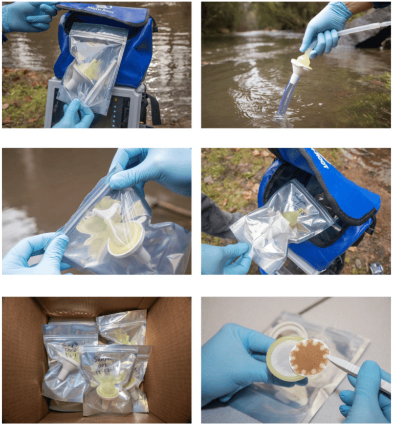 New eDNA sampling system aims for cleaner, more efficient field research