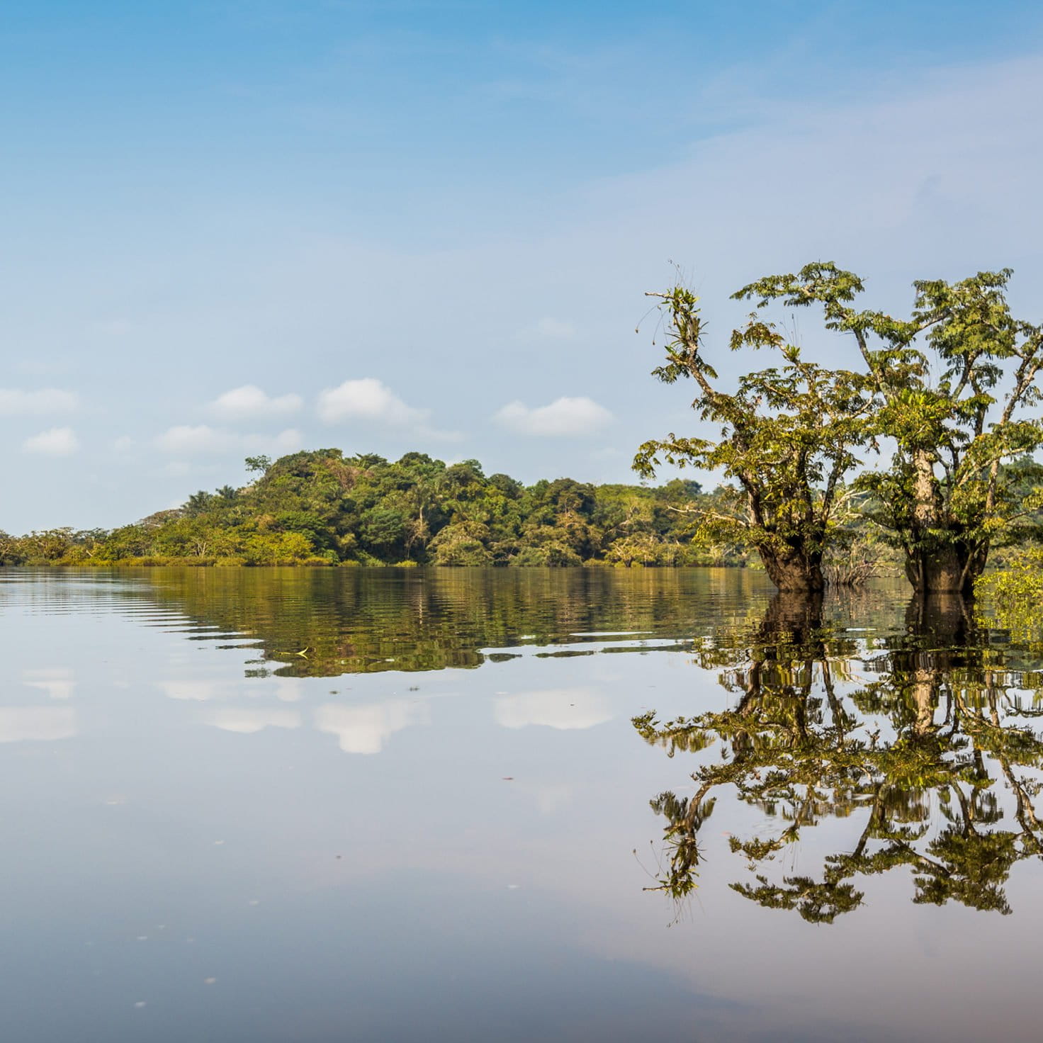 July 2019 - Conservation news