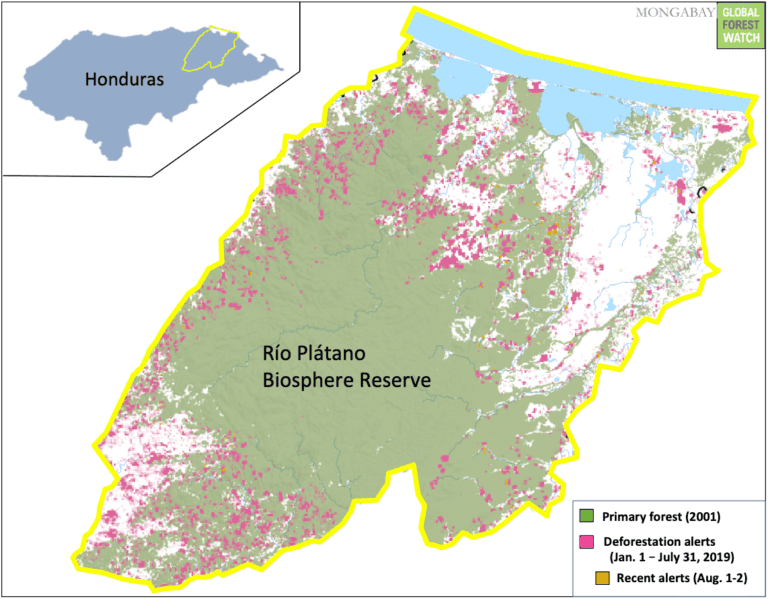 Rainforest destruction accelerates in Honduras UNESCO site