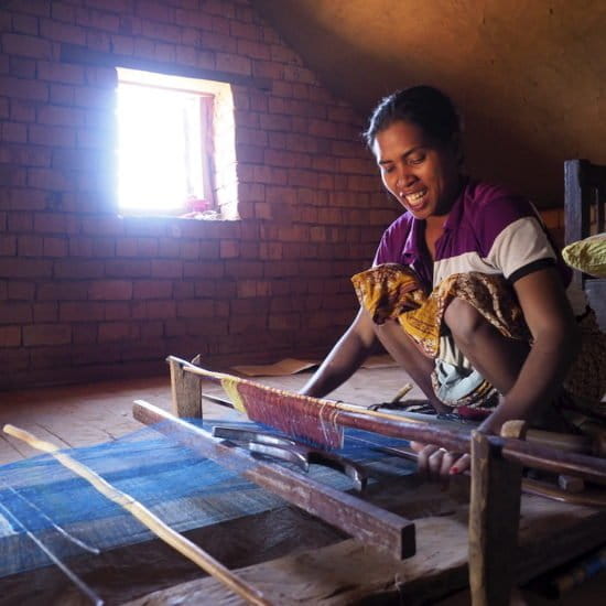 Edward Carver Archives - Conservation news