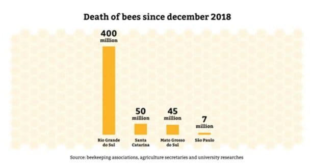 Half a billion bees dead as Brazil approves hundreds more pesticides