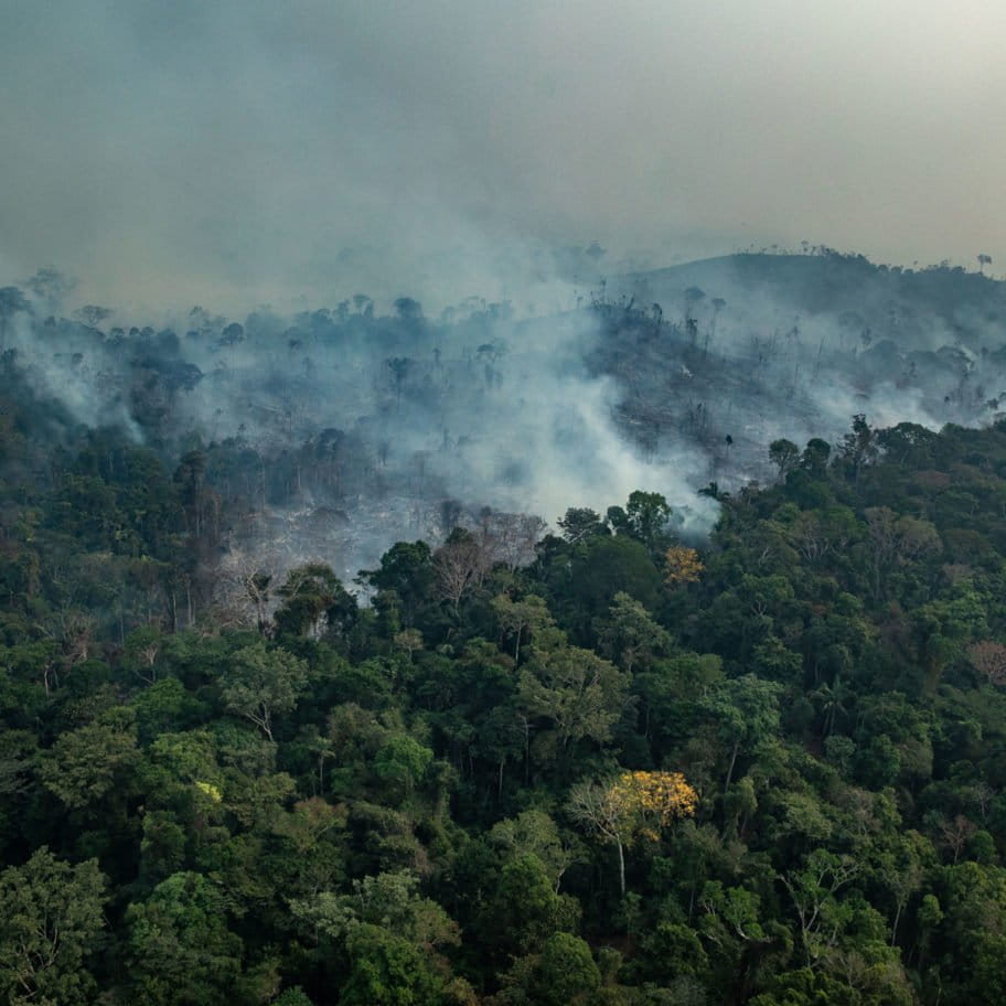 Conservation news on Amazon Drought