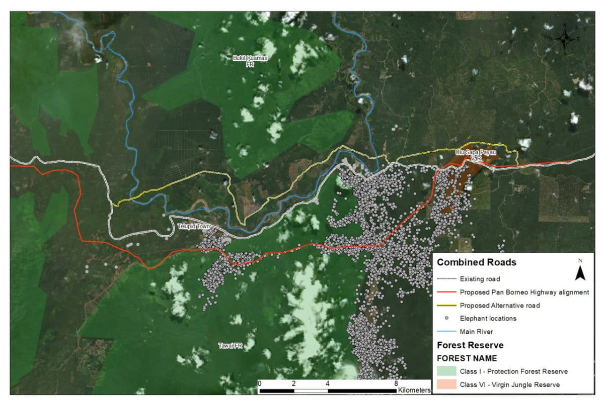 The Pan Borneo Highway on a collision course with elephants