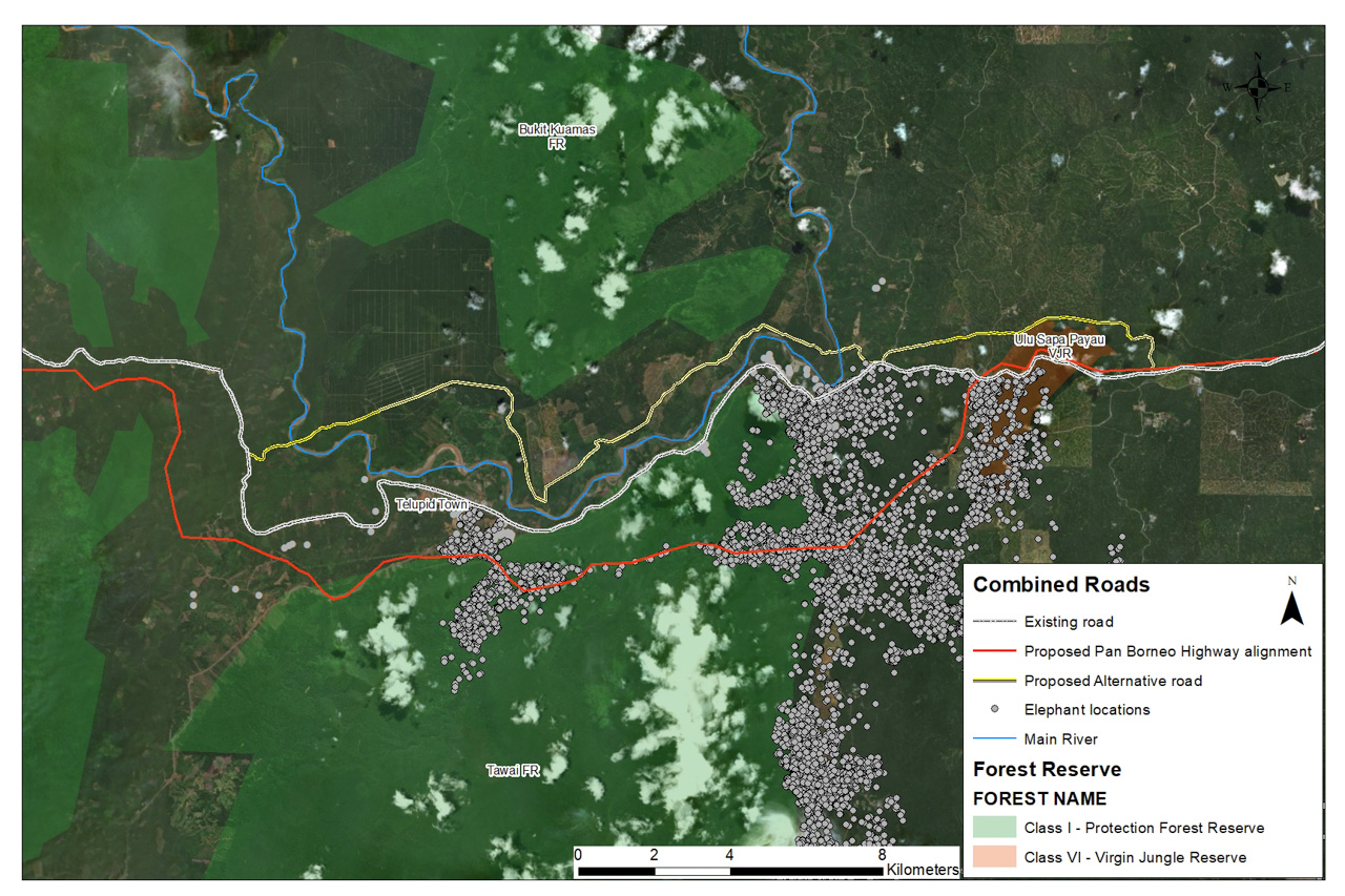 The Pan Borneo Highway on a collision course with elephants