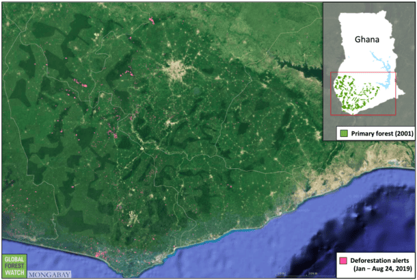 ‘We have cut them all’: Ghana struggles to protect its last old-growth ...