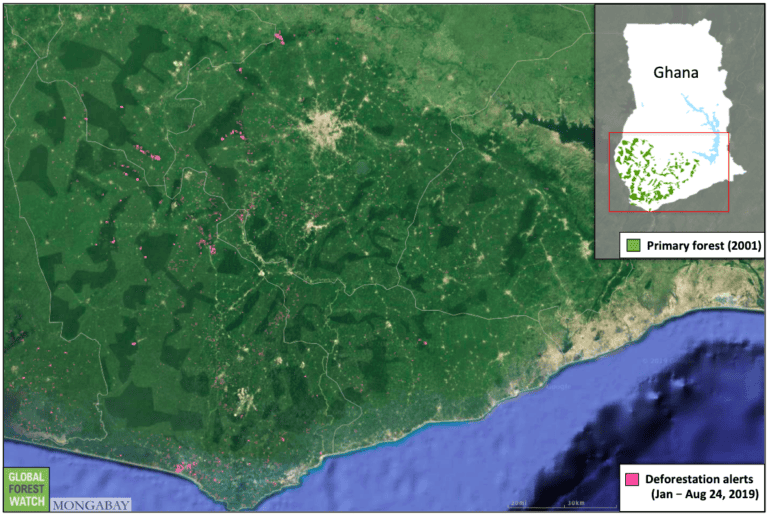 ‘We have cut them all’: Ghana struggles to protect its last old-growth ...