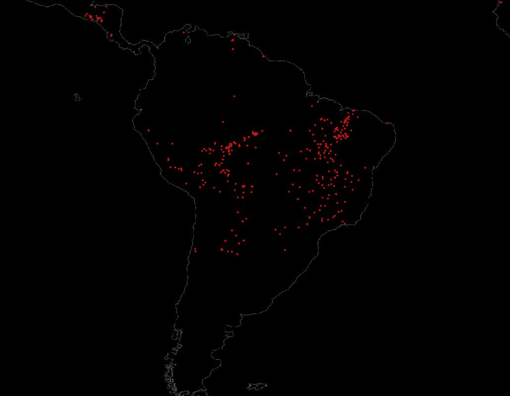 Fires in Brazil’s Amazon have devastating consequences