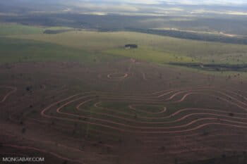Private sector could play outsized role in Cerrado conservation: study