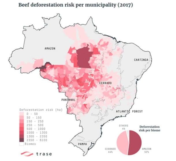 Brazilian beef industry plays outsized role in tropical carbon ...