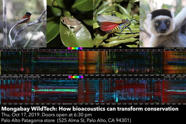 How bioacoustics can transform conservation - Wildtech event in Palo Alto
