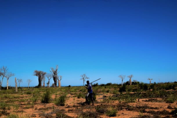 Demand for charcoal threatens the forest of Madagascar’s last hunter ...