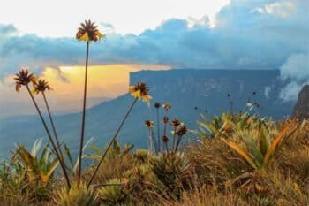 Venezuelan crisis: Government censors environmental and scientific data