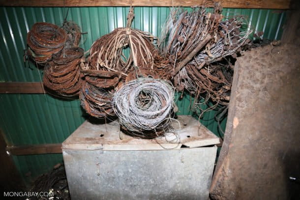 How Laos lost its tigers