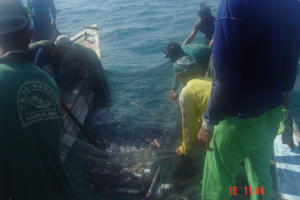 Ban on destructive fishing practice helps species recovery in ...