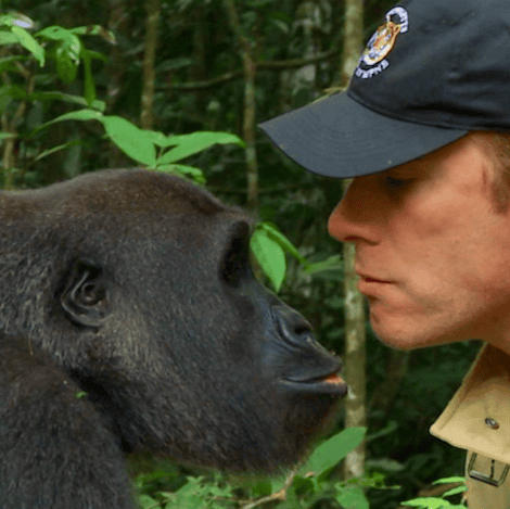 Conservation news on Zoos