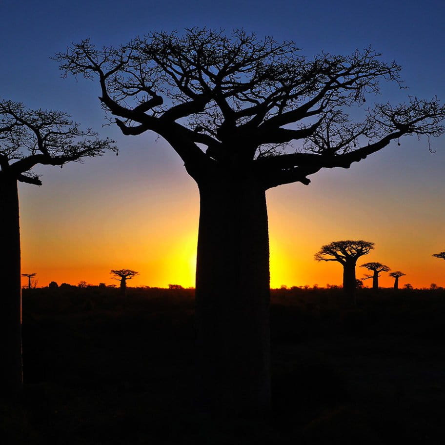 Carinya Sharples Archives - Conservation news