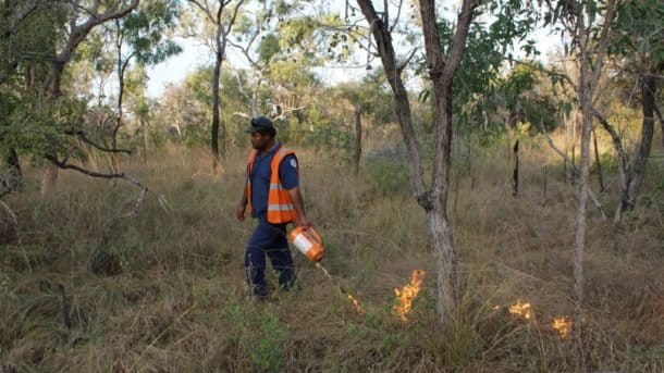Indigenous-wildlife ranger collaboration conserves rare Australian ...