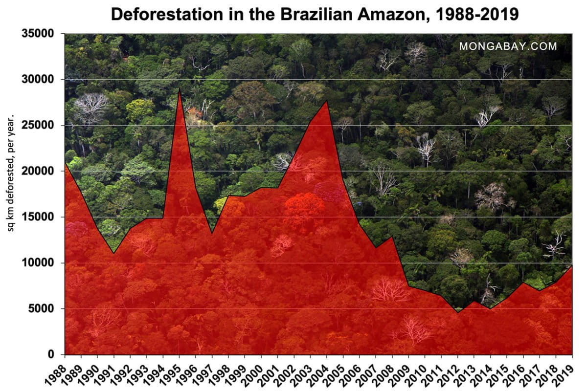Investing in Amazon Rainforest Conservation: A Foreigner’s Perspective ...