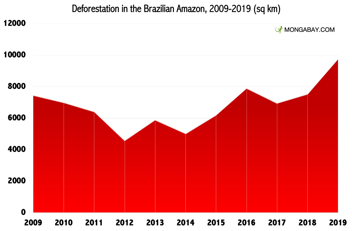 Brazil’s new deforestation numbers confirm the “Bolsonaro Effect ...