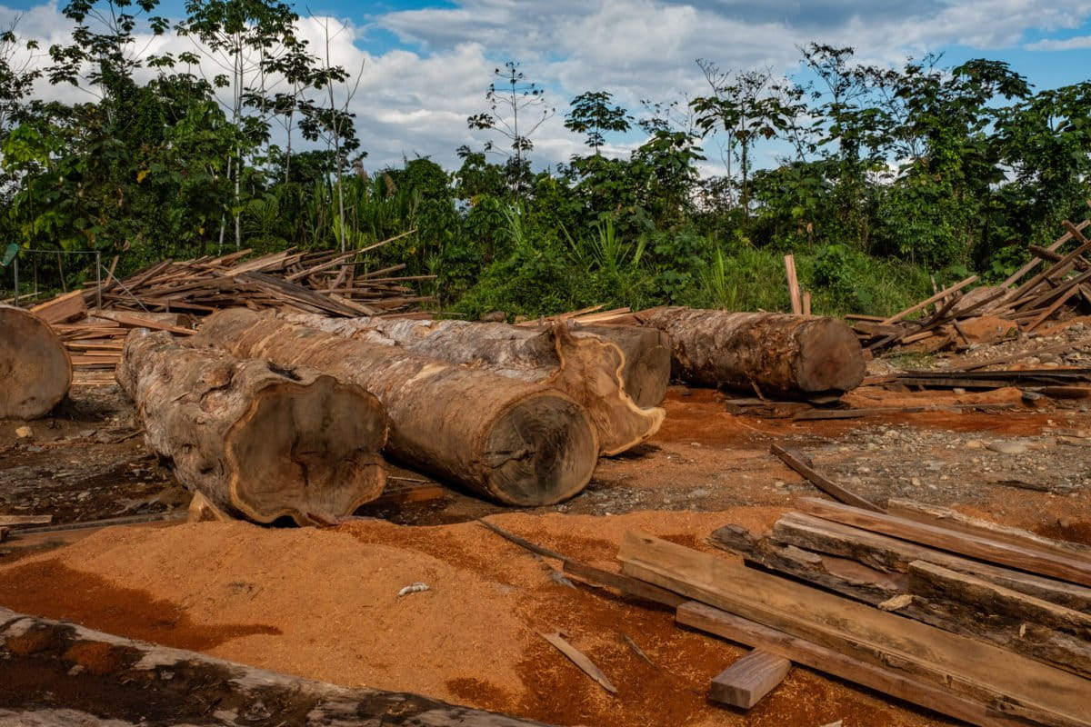 In the Andean Amazon, countries struggle to fight deforestation