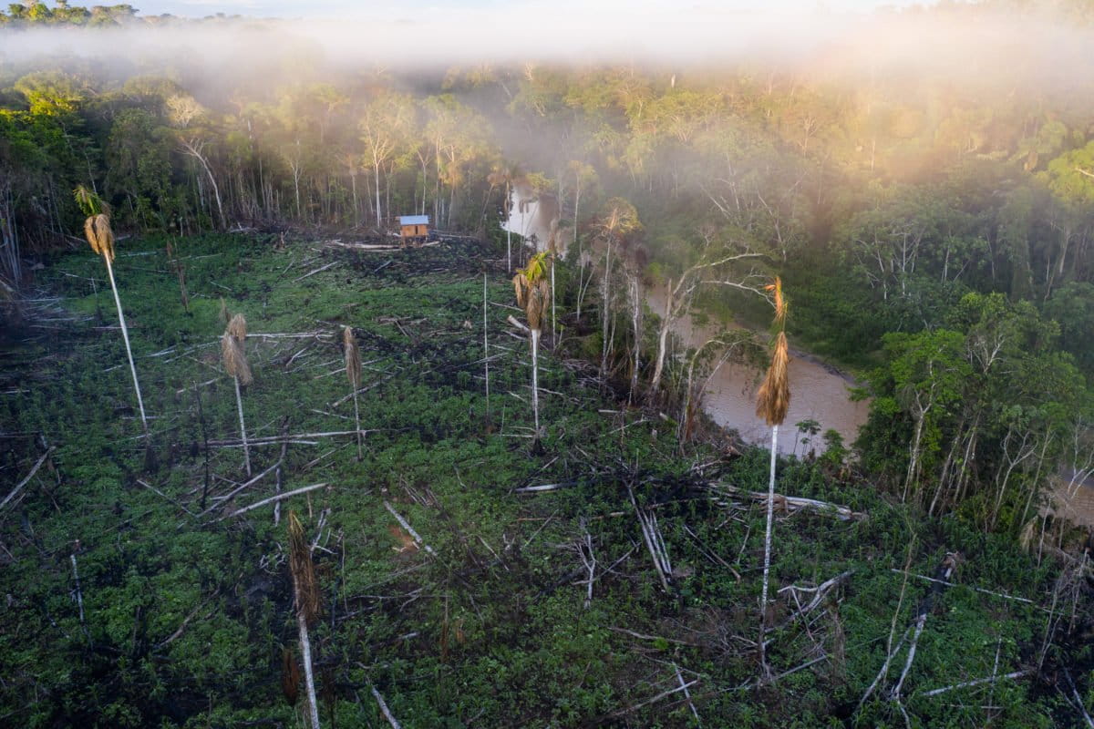 Coca farms close in on protected areas, isolated tribes in Peruvian Amazon