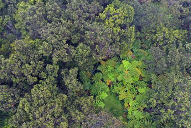 Our top nature drone photos of 2019 (Insider)