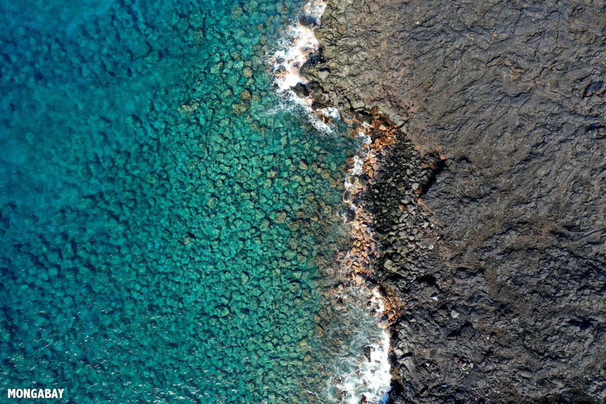 Our top nature drone photos of 2019 (Insider)