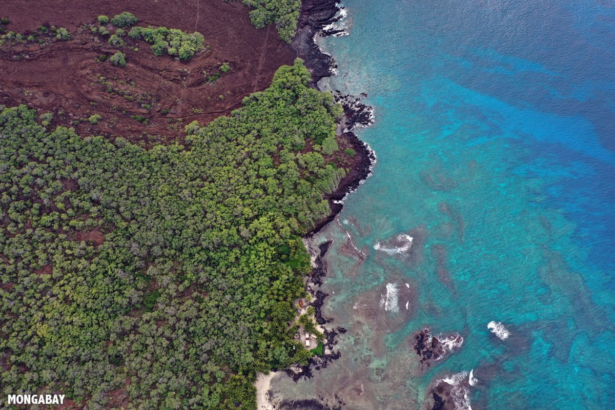 Our top nature drone photos of 2019 (Insider)
