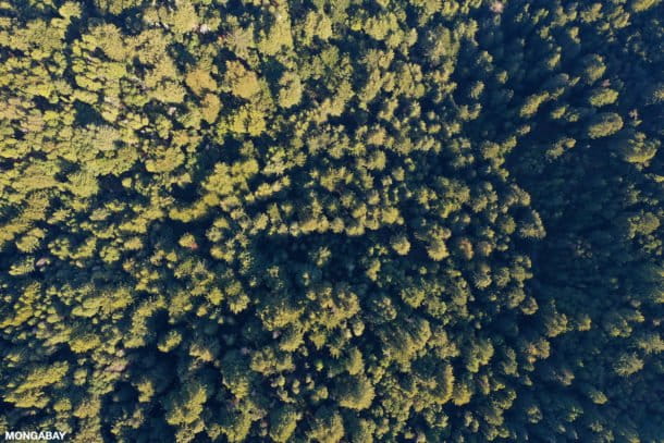 Our top nature drone photos of 2019 (Insider)