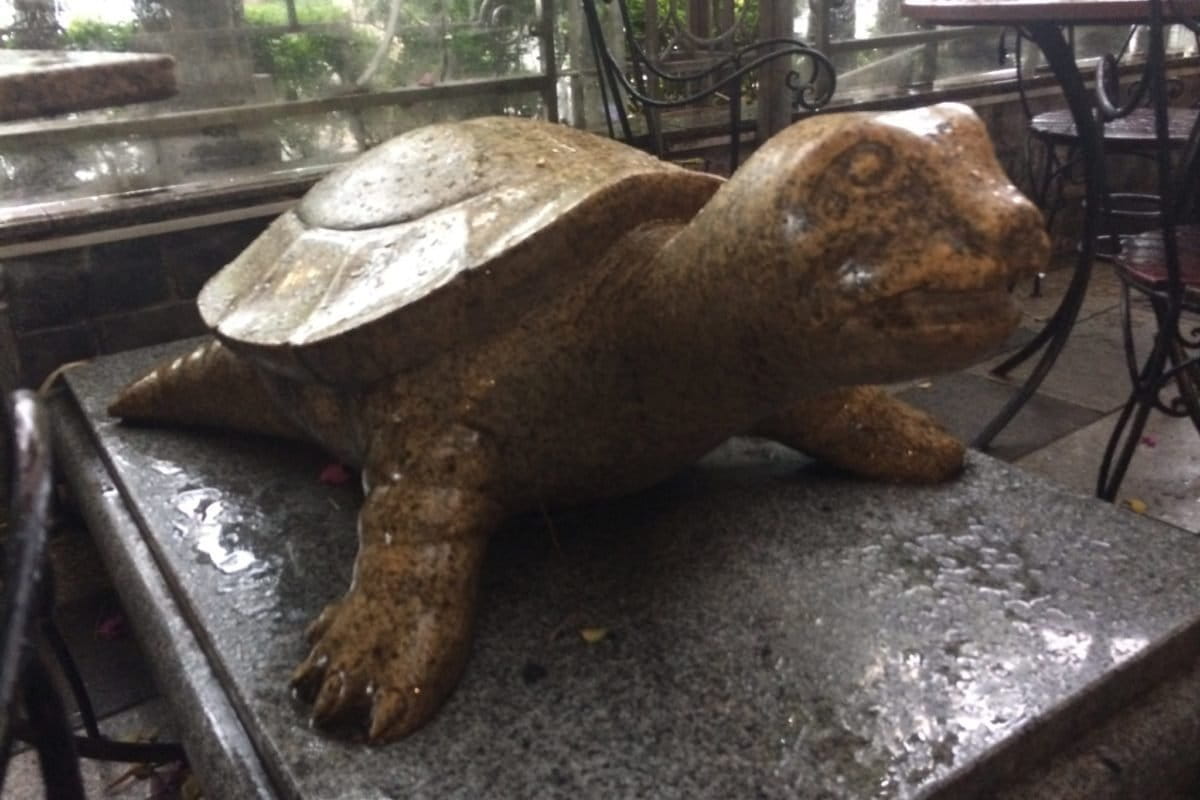 Killing gods: The last hope for the world’s rarest reptile