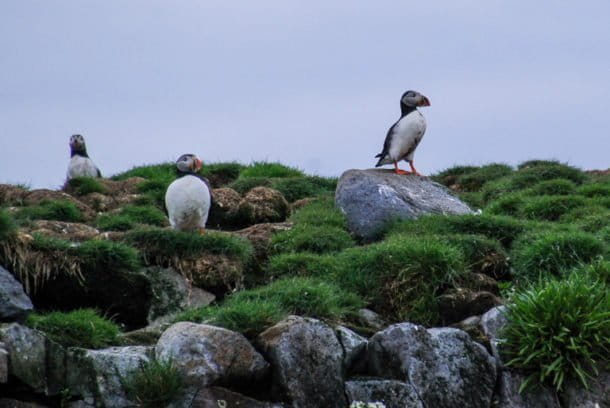 The Wire: The Wire News India, Latest News,News from India, Politics ...