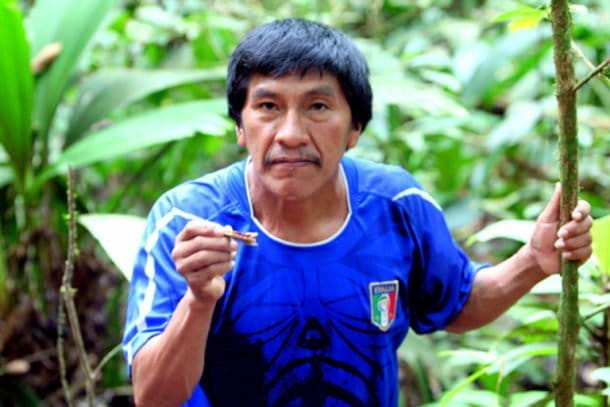 Indigenous lands hold 36% or more of remaining intact forest landscapes