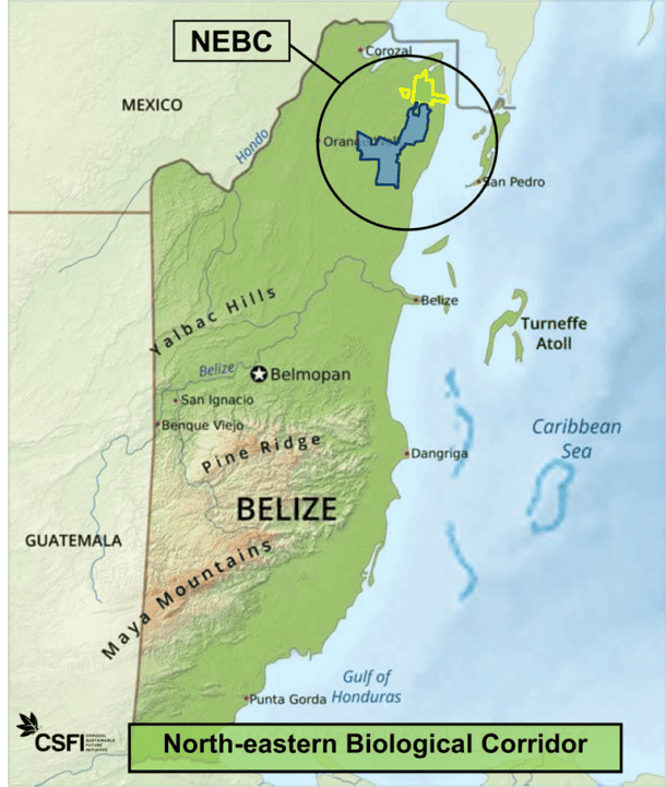 Belize officially declares wildlife corridor in key protected area complex