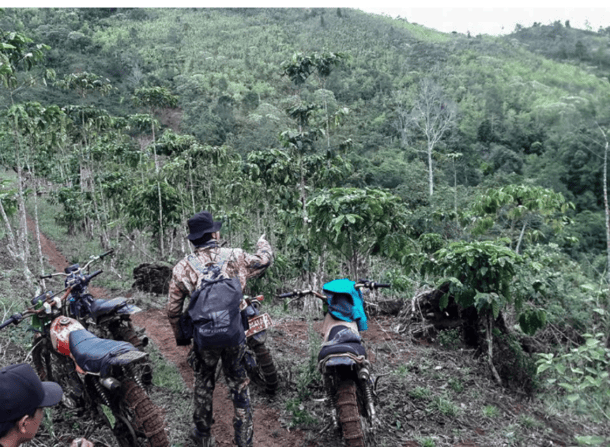 Scientists find never-before-seen baby of rare rabbit on WhatsApp