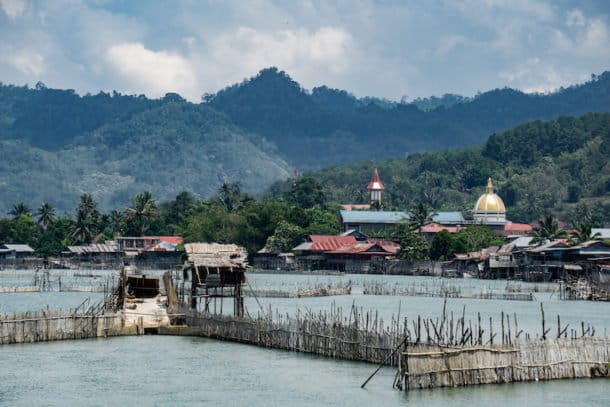 Indonesia’s Lake Poso, an evolutionary ‘gem,’ threatened by dam