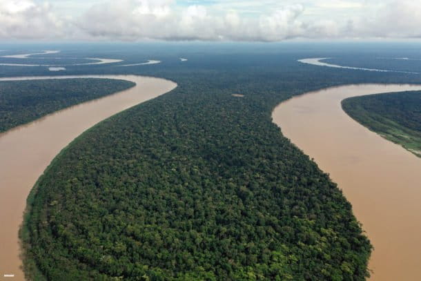Brazil revises deforestation data: Amazon rainforest loss topped 10,000 ...