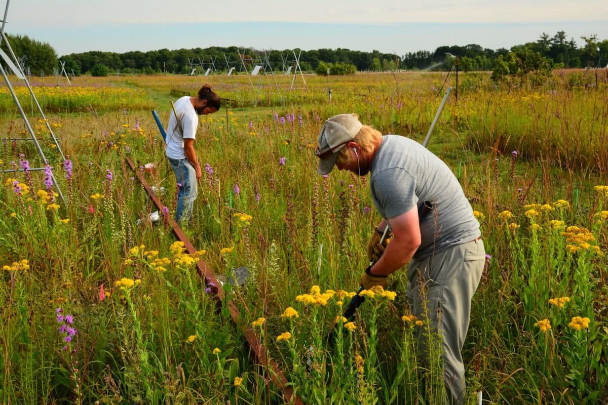 Field research, interrupted: How the COVID-19 crisis is stalling science