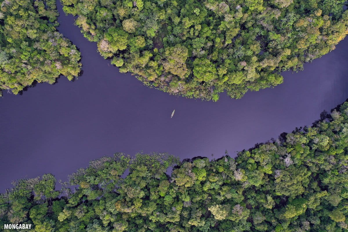 Bird's eye view: Drone photos of the Amazon rainforest (insider)