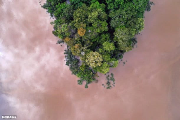 Bird's eye view: Drone photos of the Amazon rainforest (insider)