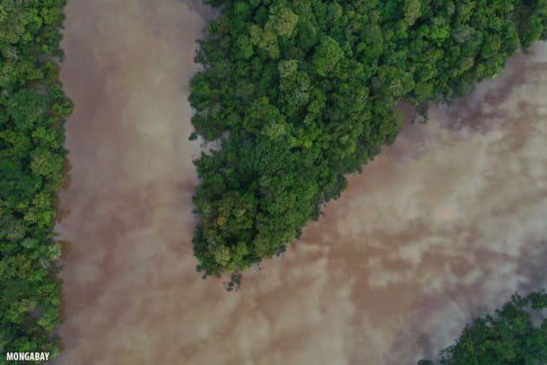Bird's eye view: Drone photos of the Amazon rainforest (insider)
