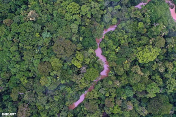 Bird's eye view: Drone photos of the Amazon rainforest (insider)